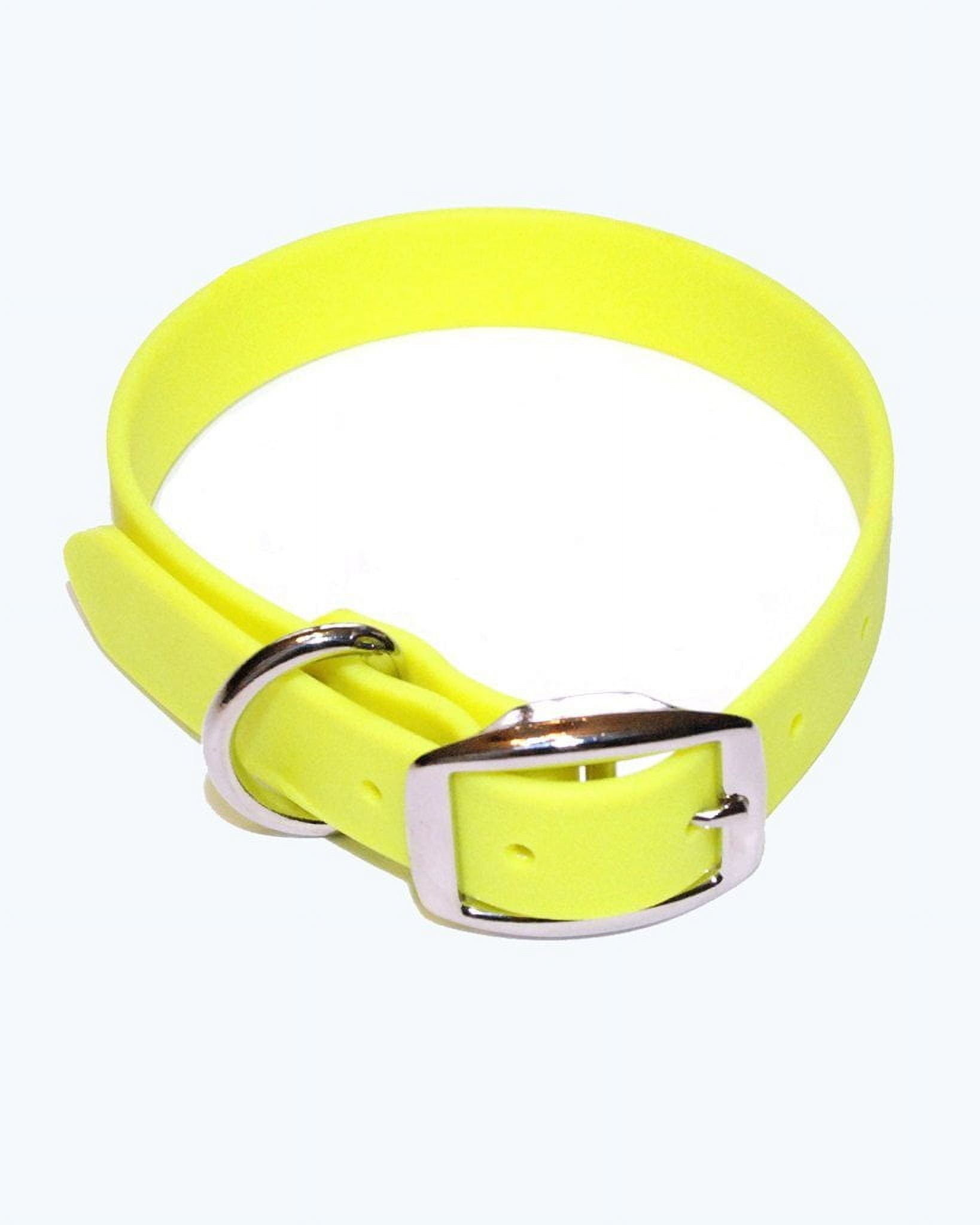 Regal Dog Products Waterproof Collar with Double Buckle and D Ring ...