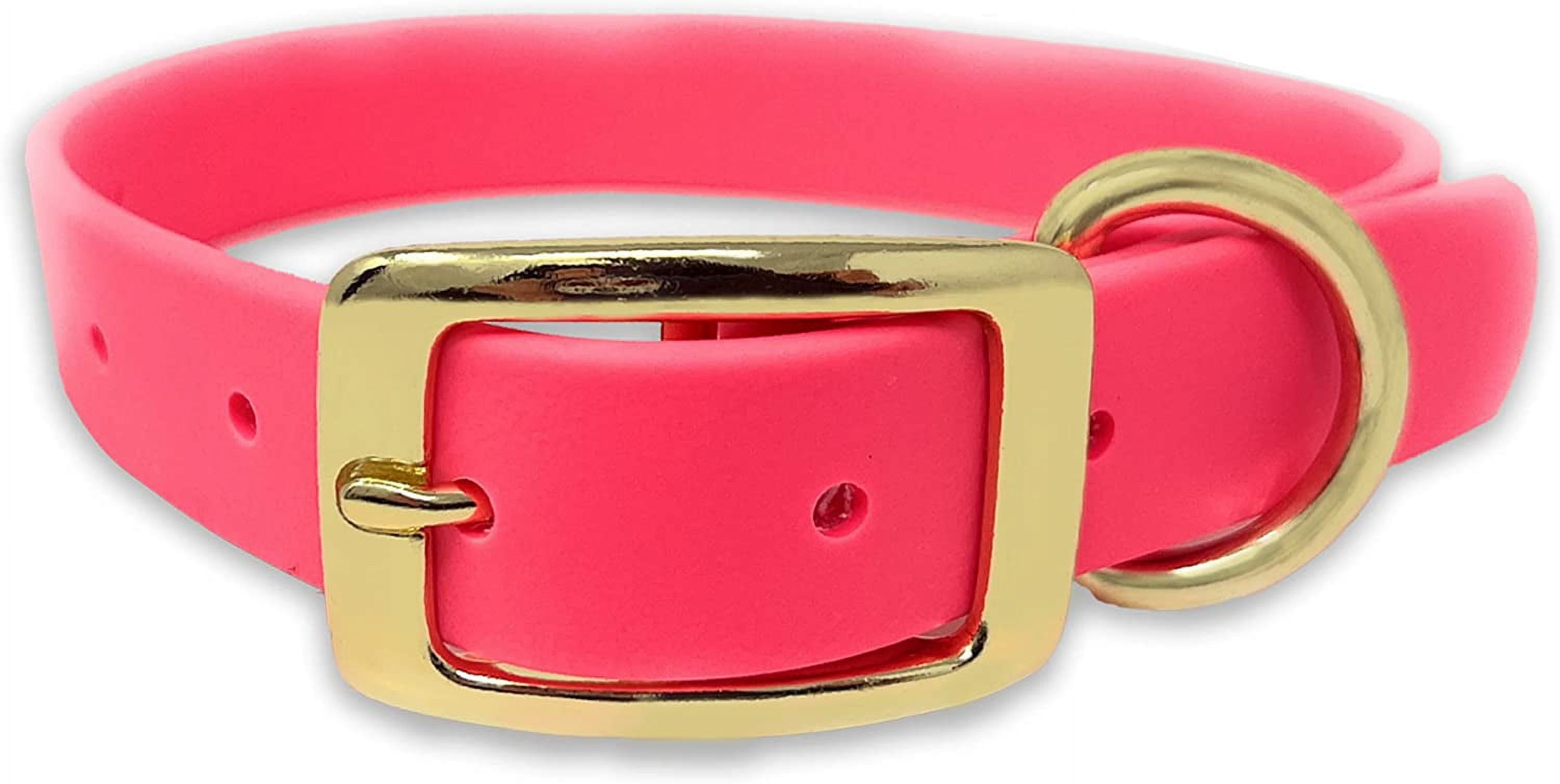 Regal Dog Products Waterproof Collar with Gold Hardware - Water ...