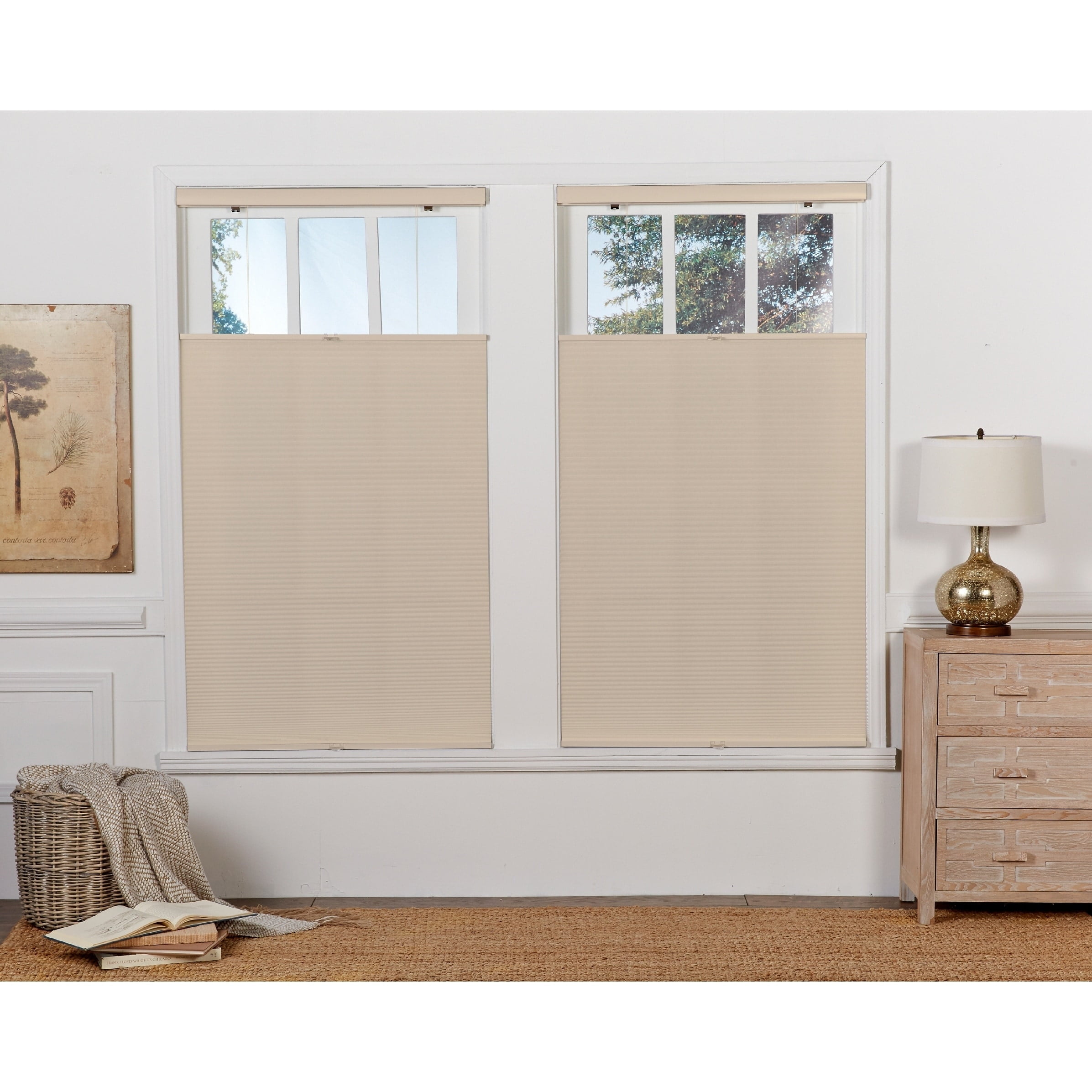 Regal Estate 64-inch Alabaster Light-filtering Top Down/Bottom Up Shade ...