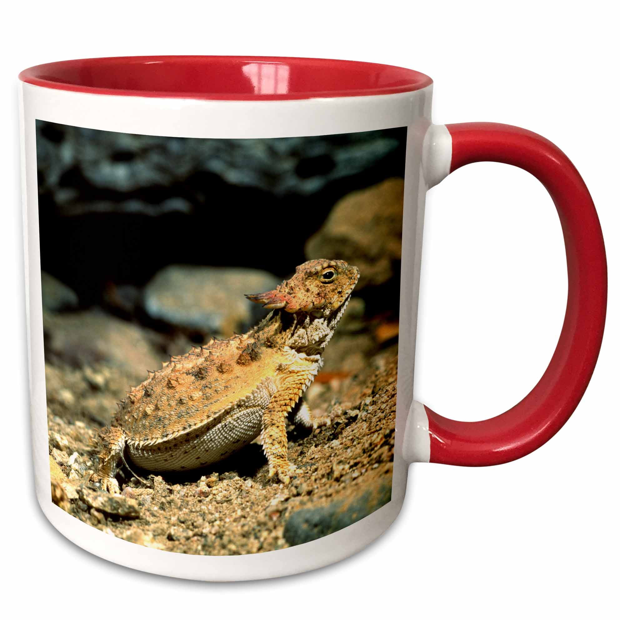 3drose, Regal Horned Lizard, Southern Arizona - Na02 Dno0302 - David ...