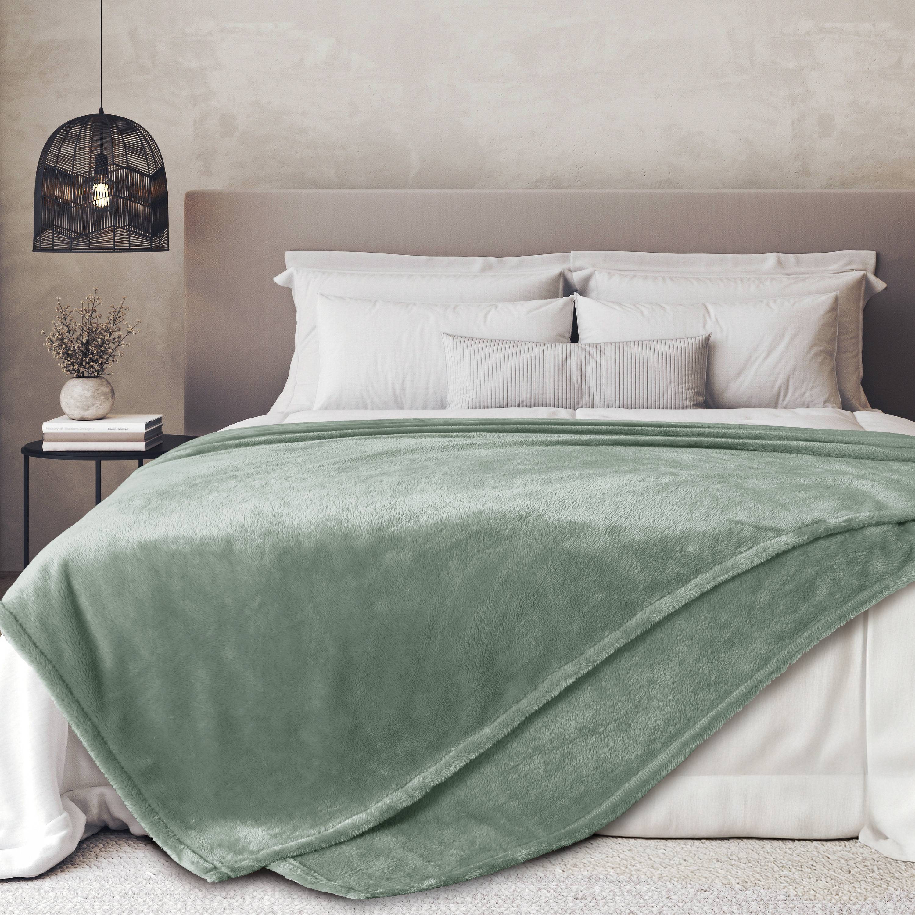 Regal Living Ultra Soft Plush Fleece Blanket, Double-Sided Cozy Warm ...