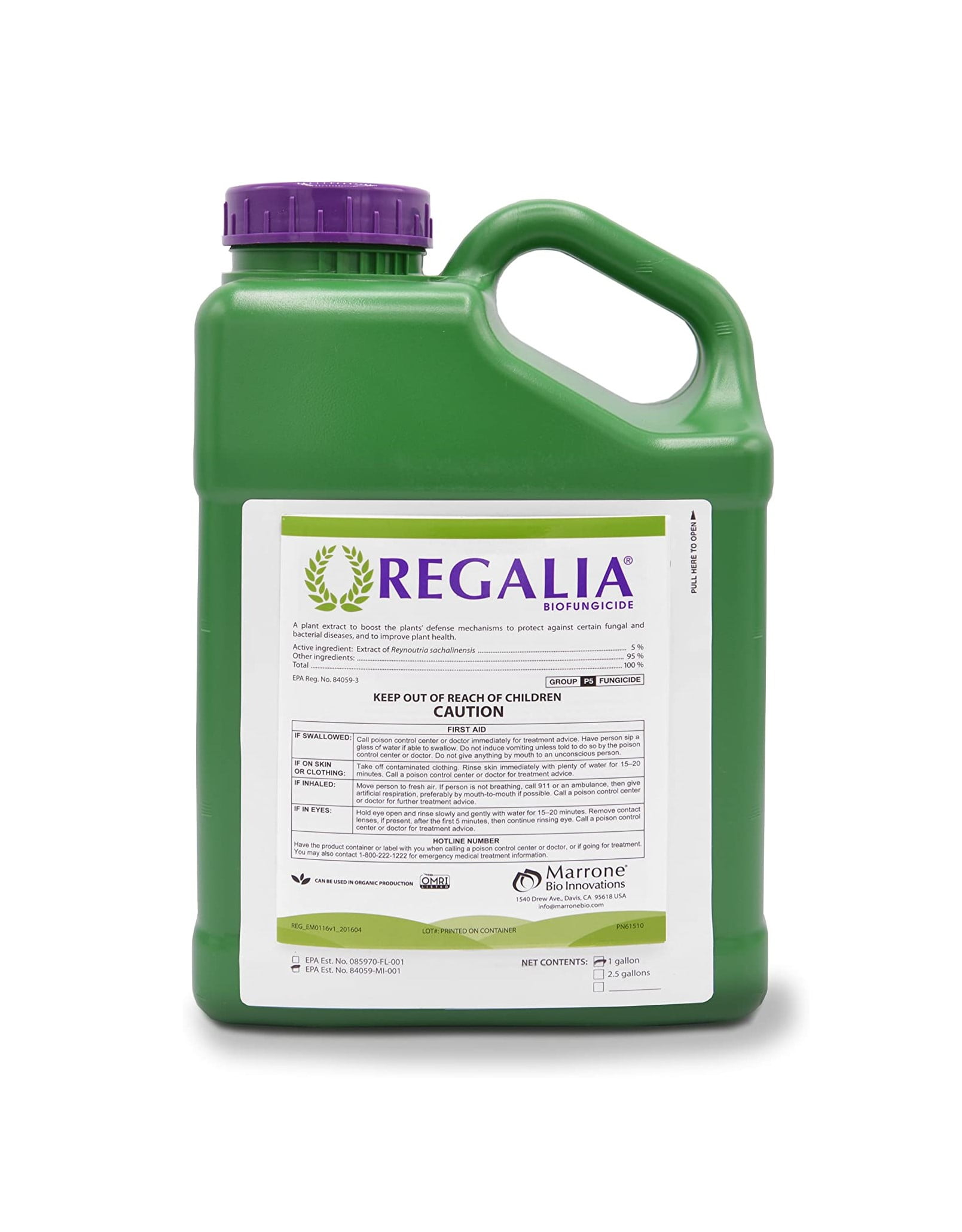 Regalia CG Biofungicide Liquid Concentrate- For Prevention & Disease ...