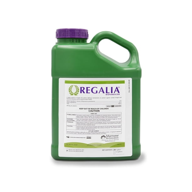 Regalia CG Biofungicide Liquid Concentrate- For Prevention & Disease ...