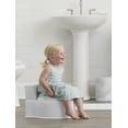Regalo 2-in-1 My Little Potty with Flushing Sound, Removable Seat ...