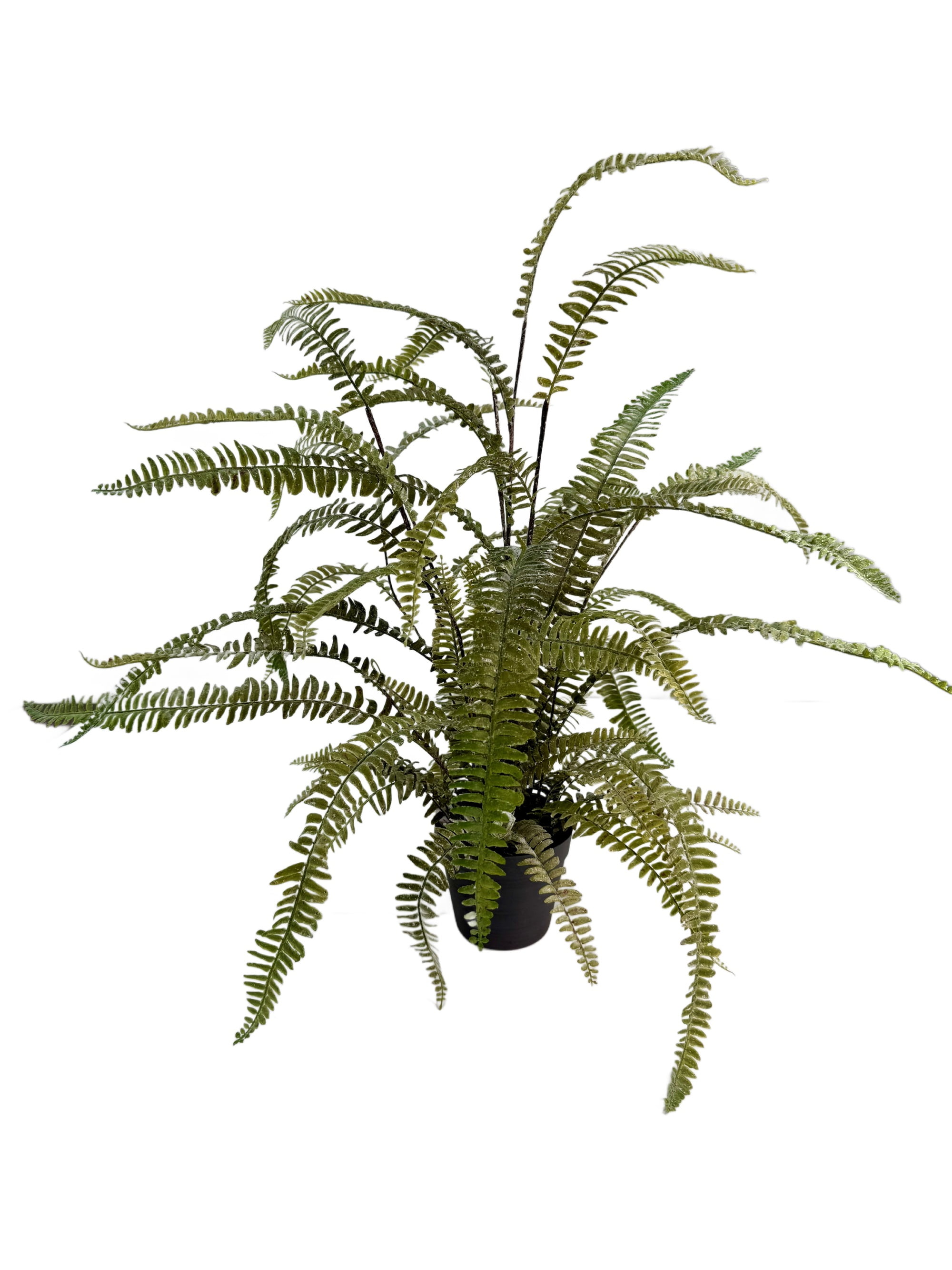 Regency International Plastic Potted UV Treat Natural Touch Fern 36 ...