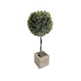 Regency International Topiary Flocked Boxwood Single Ball Topiary in ...