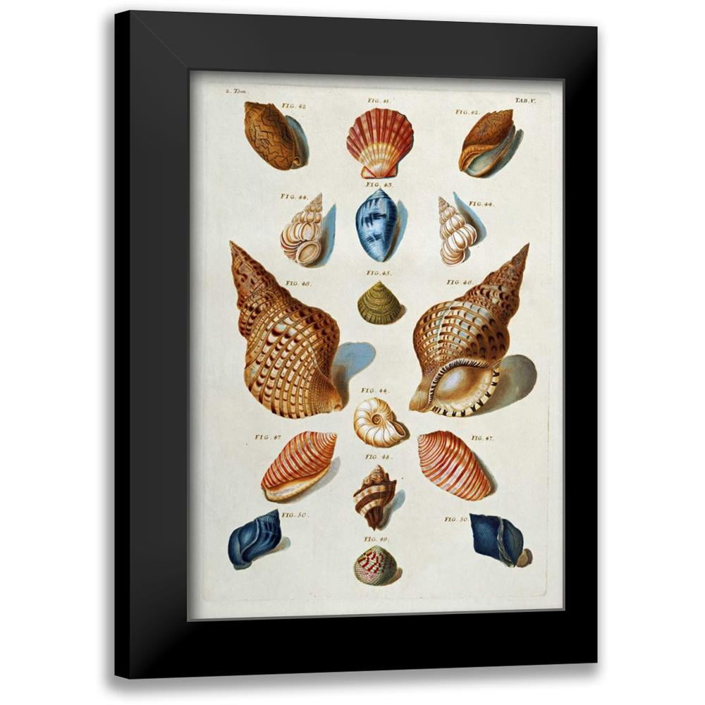 Regenfuss, Franz Michael 11x14 Black Modern Framed Museum Art Print Titled - A Selection of ...