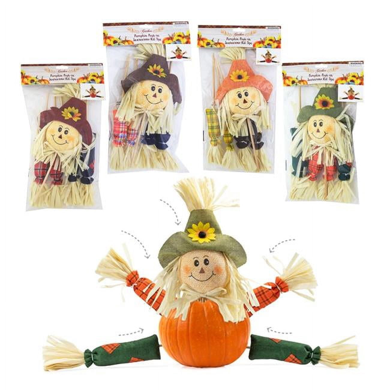 Regent Products G94034 Harvest Pumpkin Push-In Scarecrow Kit in PBH, 4 ...