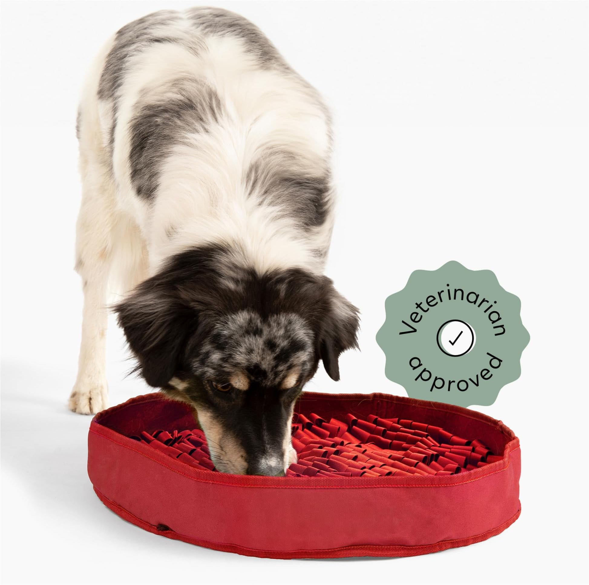 Reggie Stimulating Feeder Mat for Dogs | Relieve Speed Eating, Boredom ...