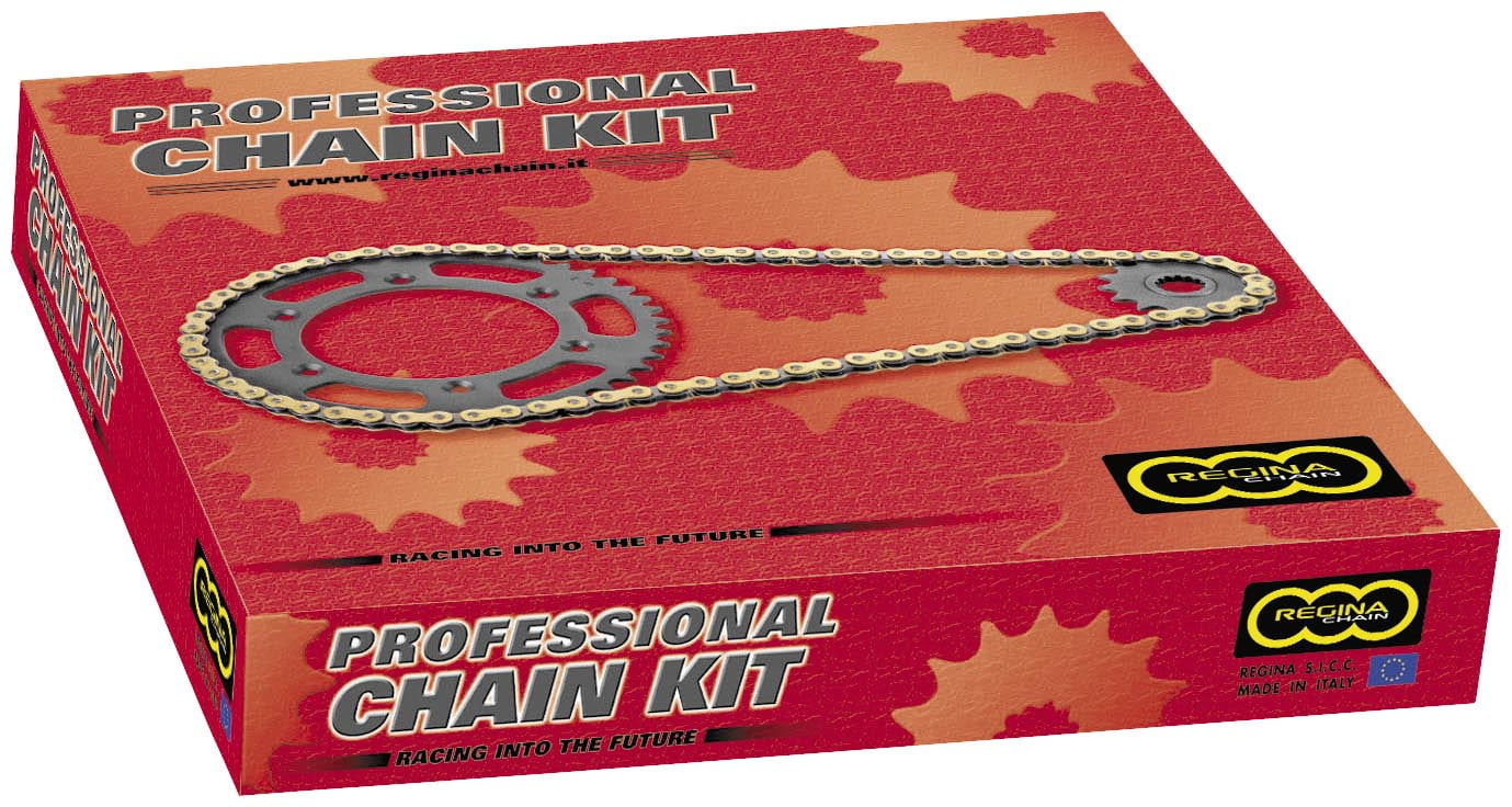 Regina Chain 135QUAD/078KPO003 OE Chain and Sprocket Kit - Walmart.com