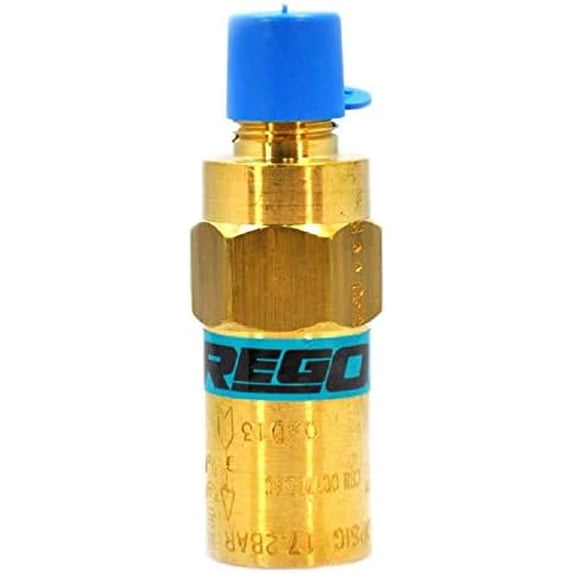 Rego 1/4" Relief Valve | Brass Material | Oxygen Service per CGA G-4.1 ...