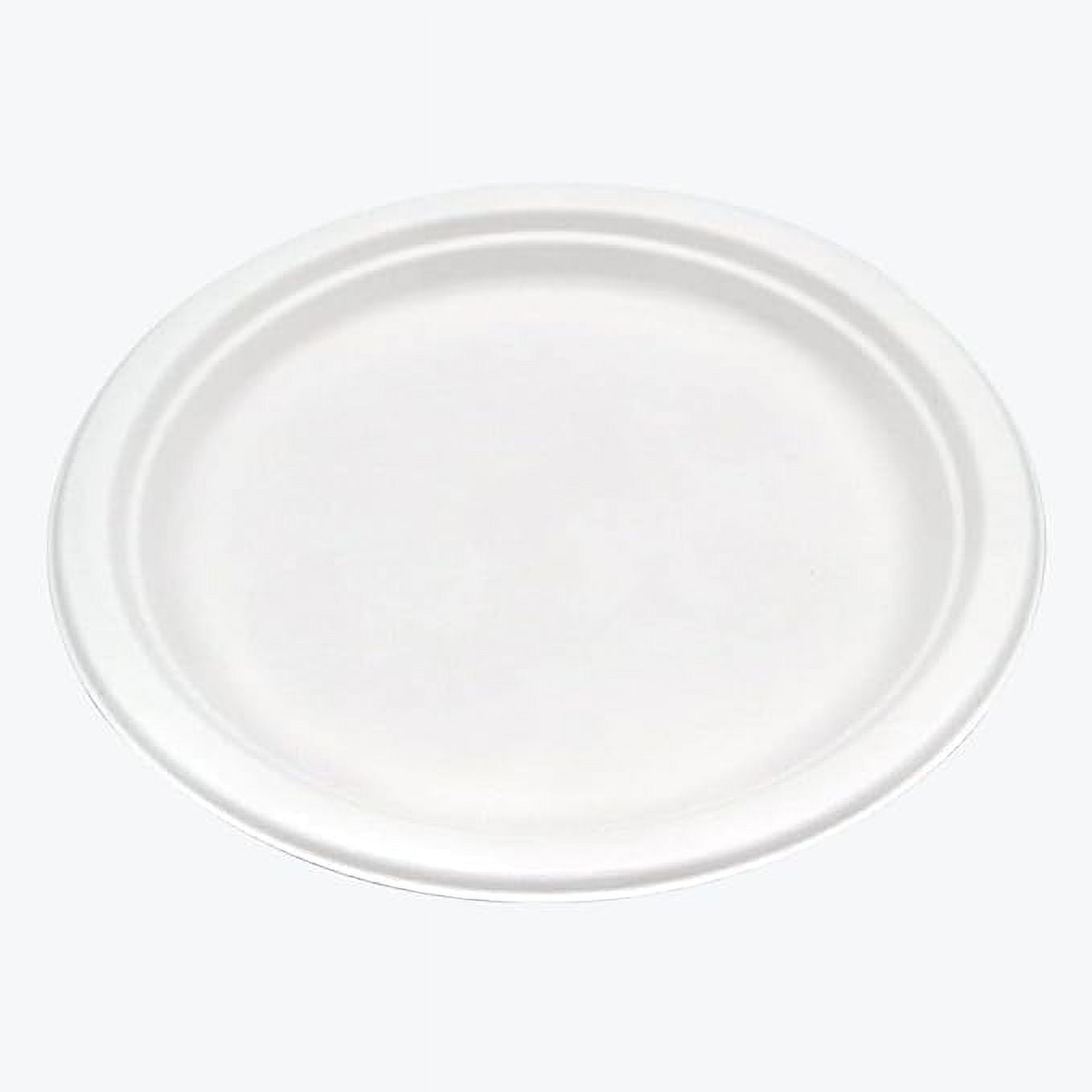 Reharvest Dinner Plastic Free Disposable Paper Plates, 10", (50 Pack ...