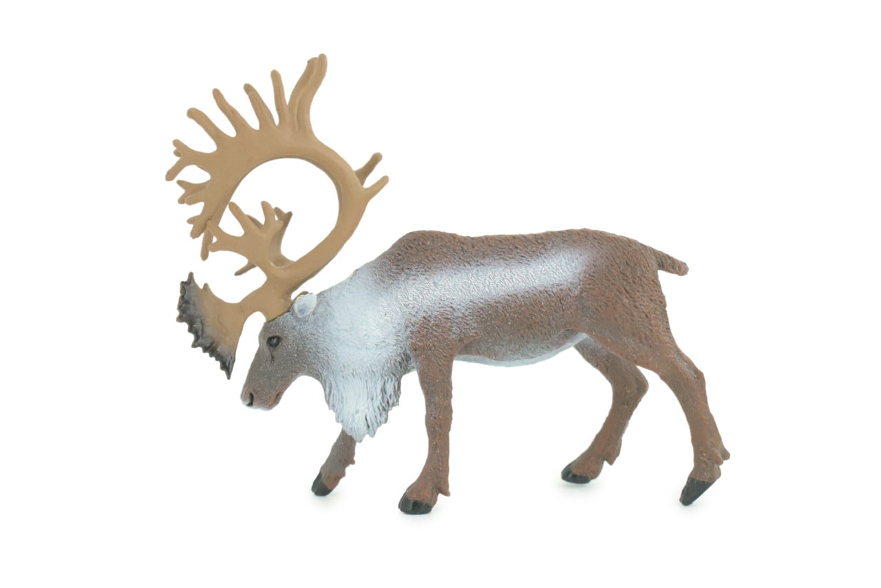 Reindeer, Caribou, Museum Quality, Educational, Hand Painted, Realistic ...