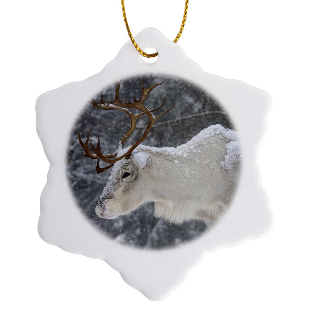 3drose, Reindeer Covered with Snow During the Arctic Winter. Pyha ...