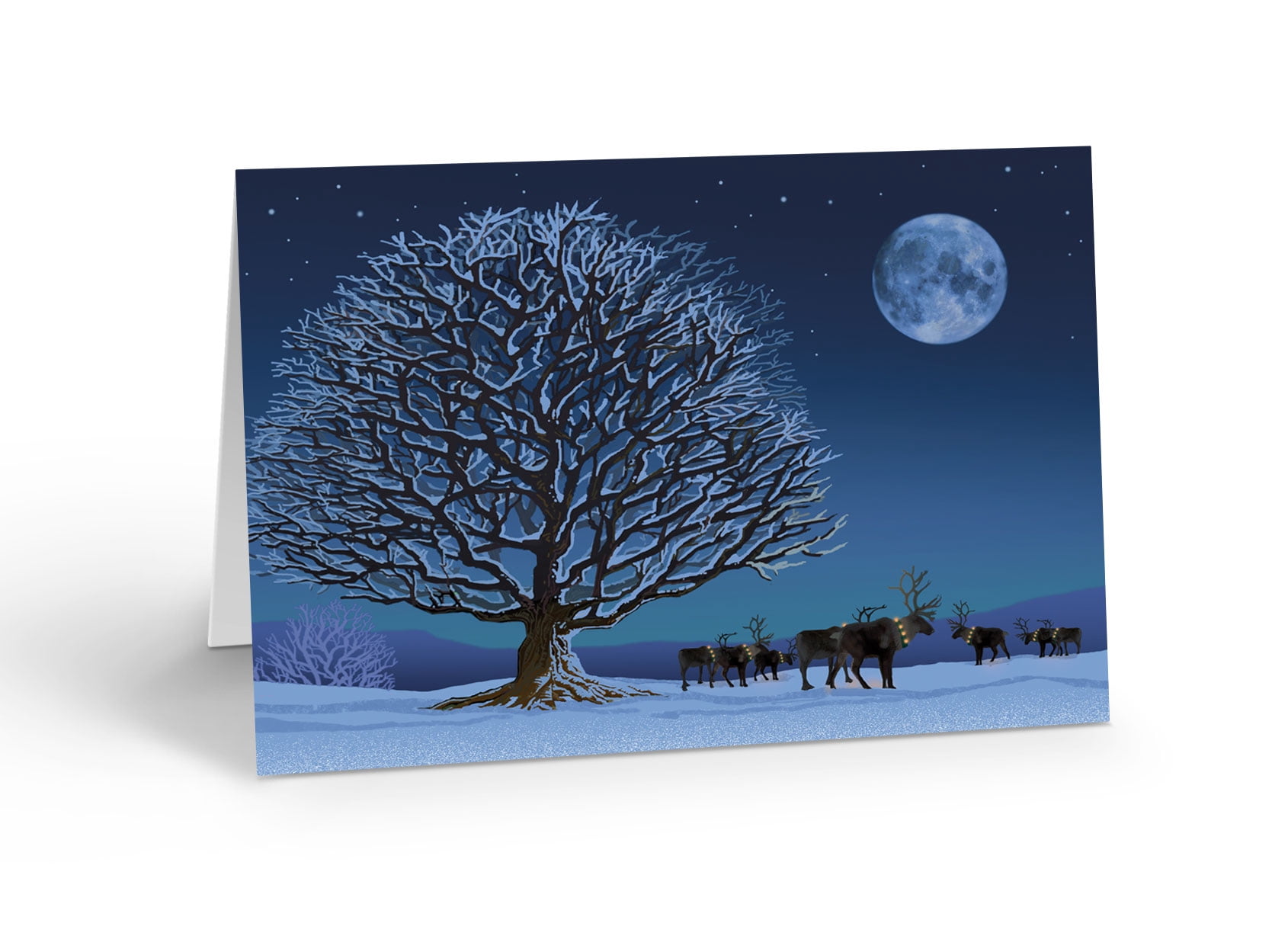 Reindeer Under Moonlight Christmas Card - 18 Boxed Holiday Cards ...