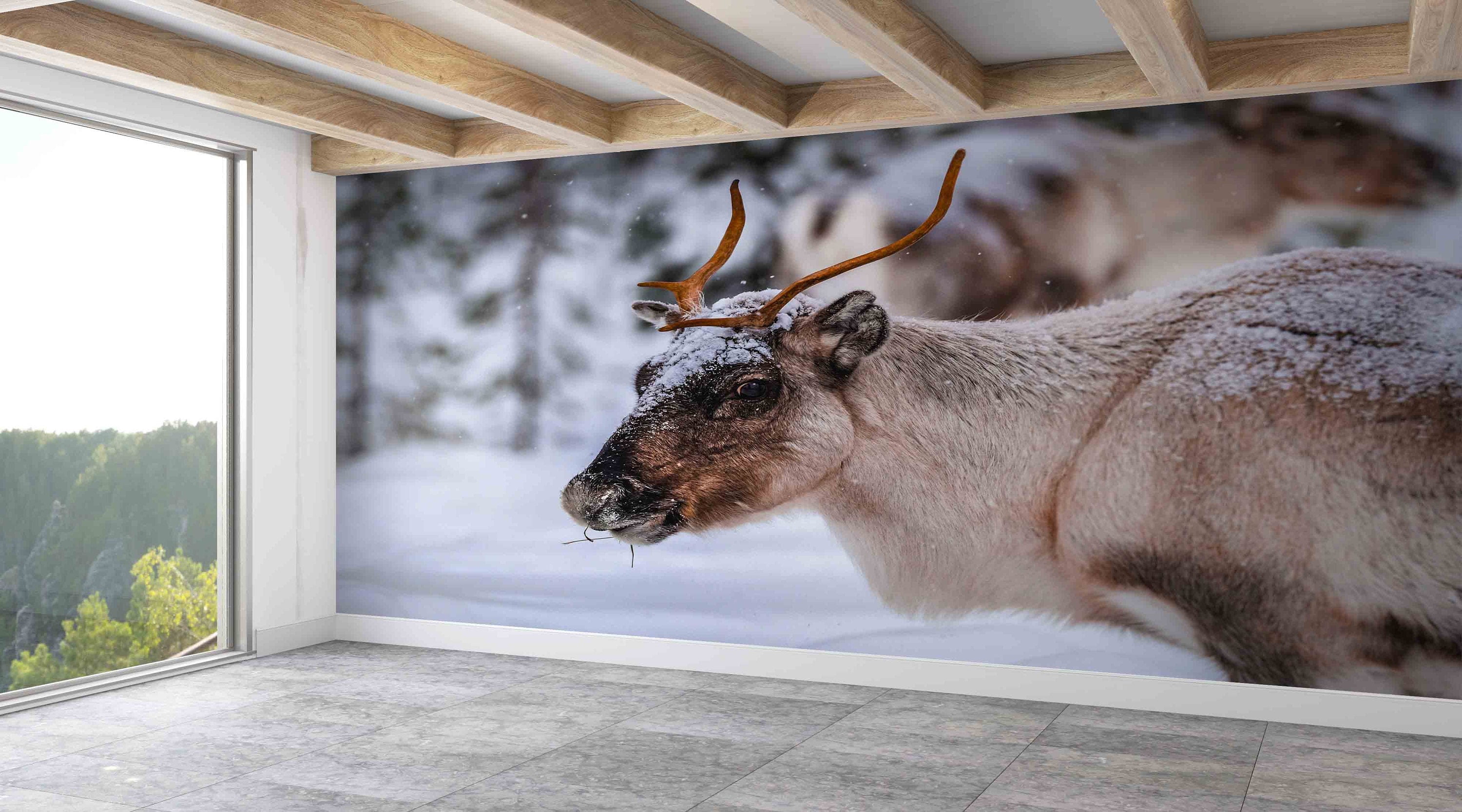 Reindeer Wallpaper, Bright Wallpaper, Wild Animal Wall Painting, Modern ...