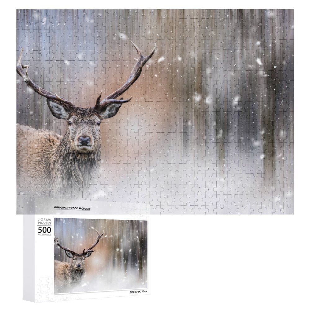 Reindeer stag head and shoulders looking at the camera in a snow ...