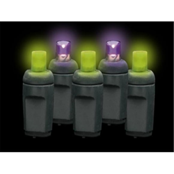 Reinders Christmas Lights