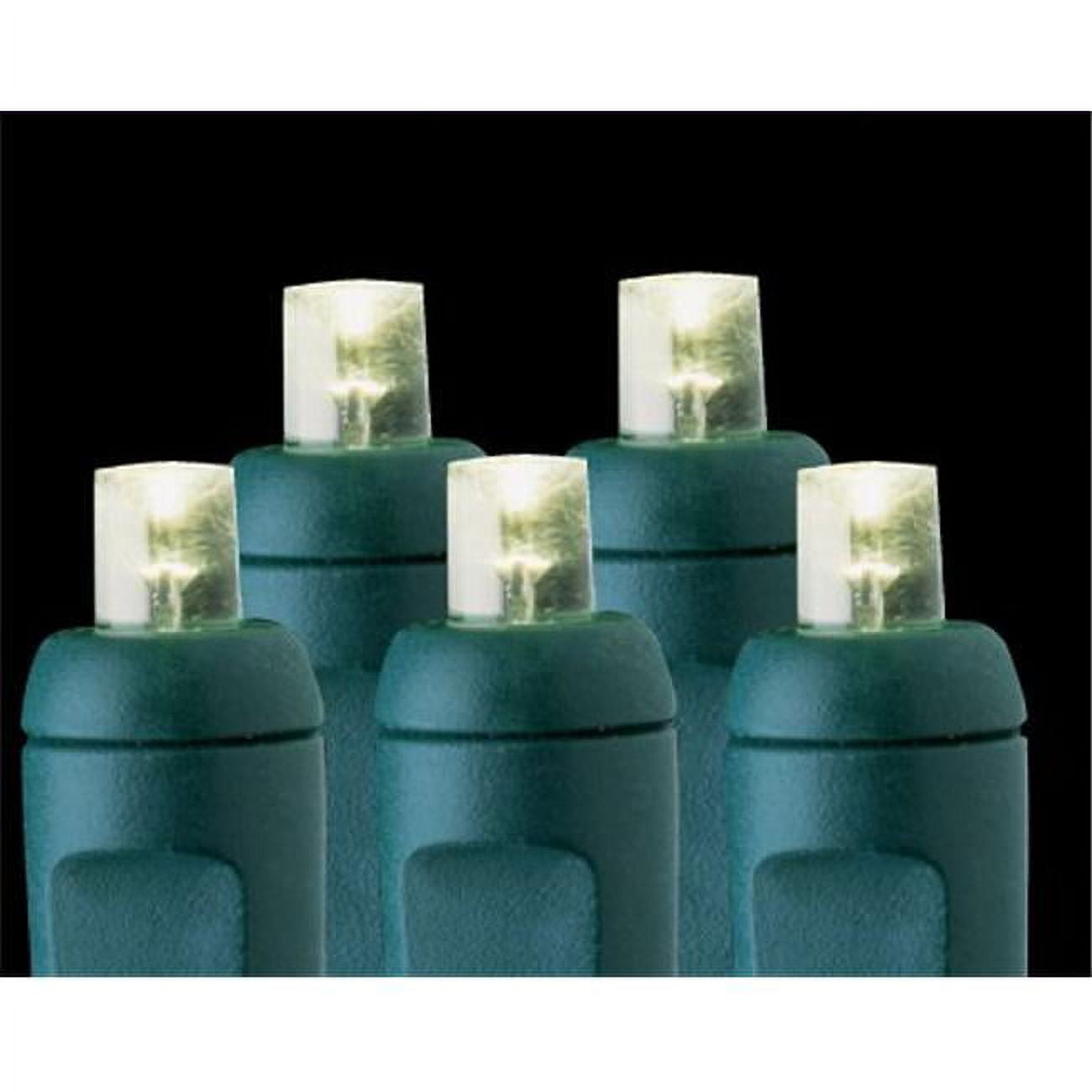 Reinders 5MM50WW-T 5mm Twinkle Light Strands - Warm White - Walmart.com