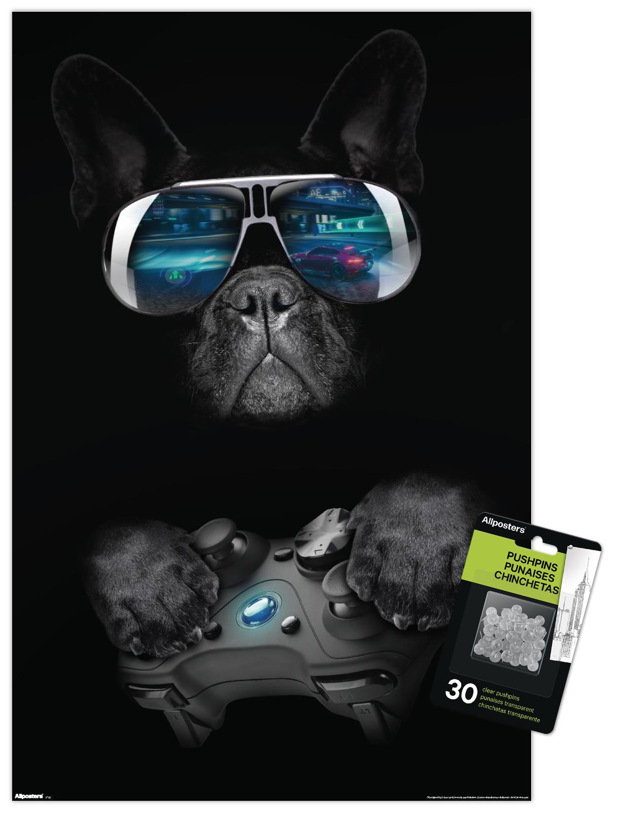 Reinders: Animals - Gaming Dog Wall Poster with Push Pins, 14.725" x 22 ...