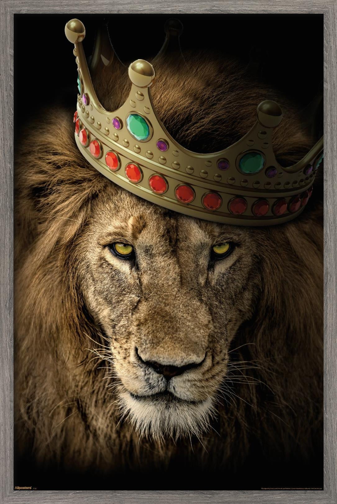 Reinders: Animals - Lion Boss Crown Wall Poster, 14.725" x 22.375 ...