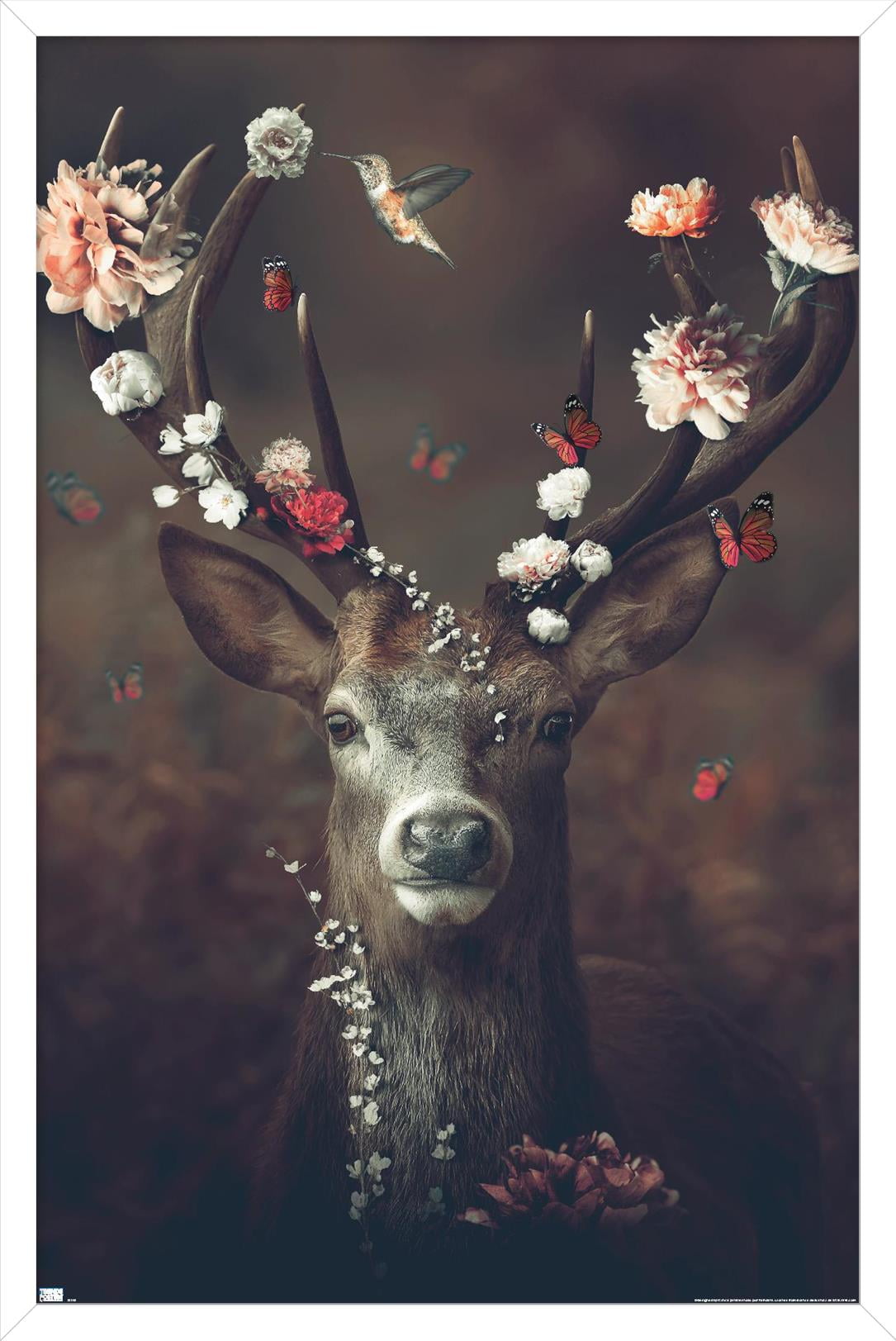 Reinders - Fauna Flora Deer Wall Poster, 22.375" x 34" Framed - Walmart.com