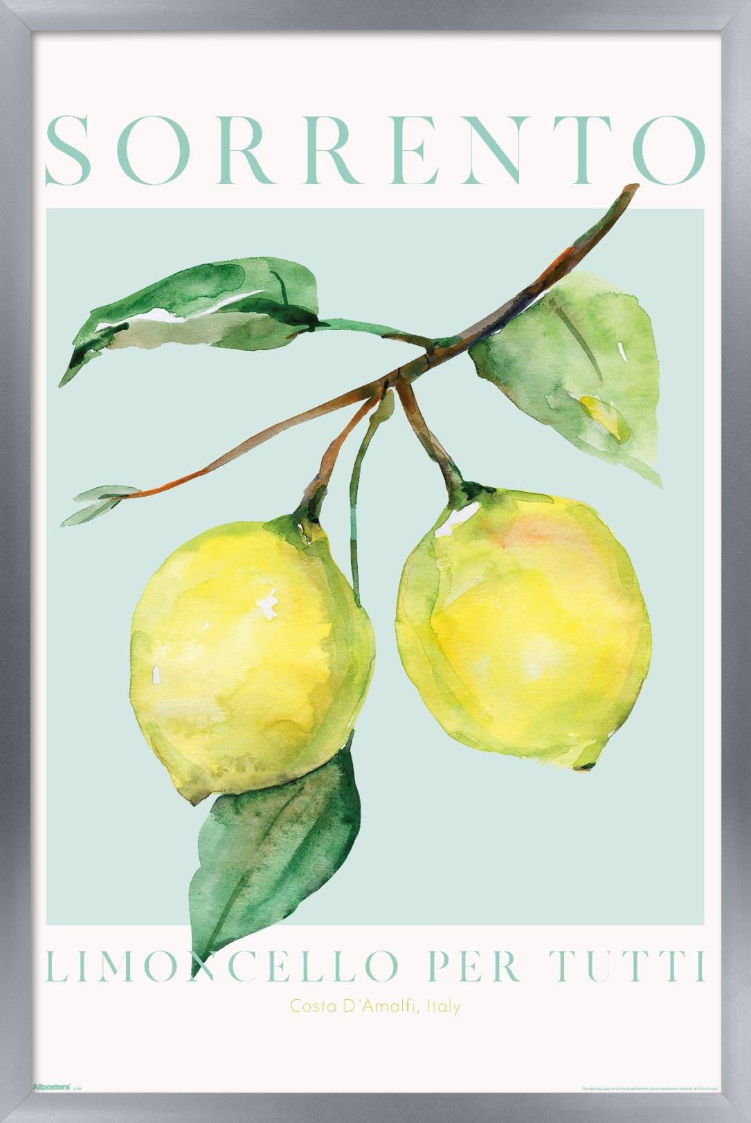 Reinders: Fruit Market - Limoncello Per Tutti Wall Poster, 14.725" x 22 ...