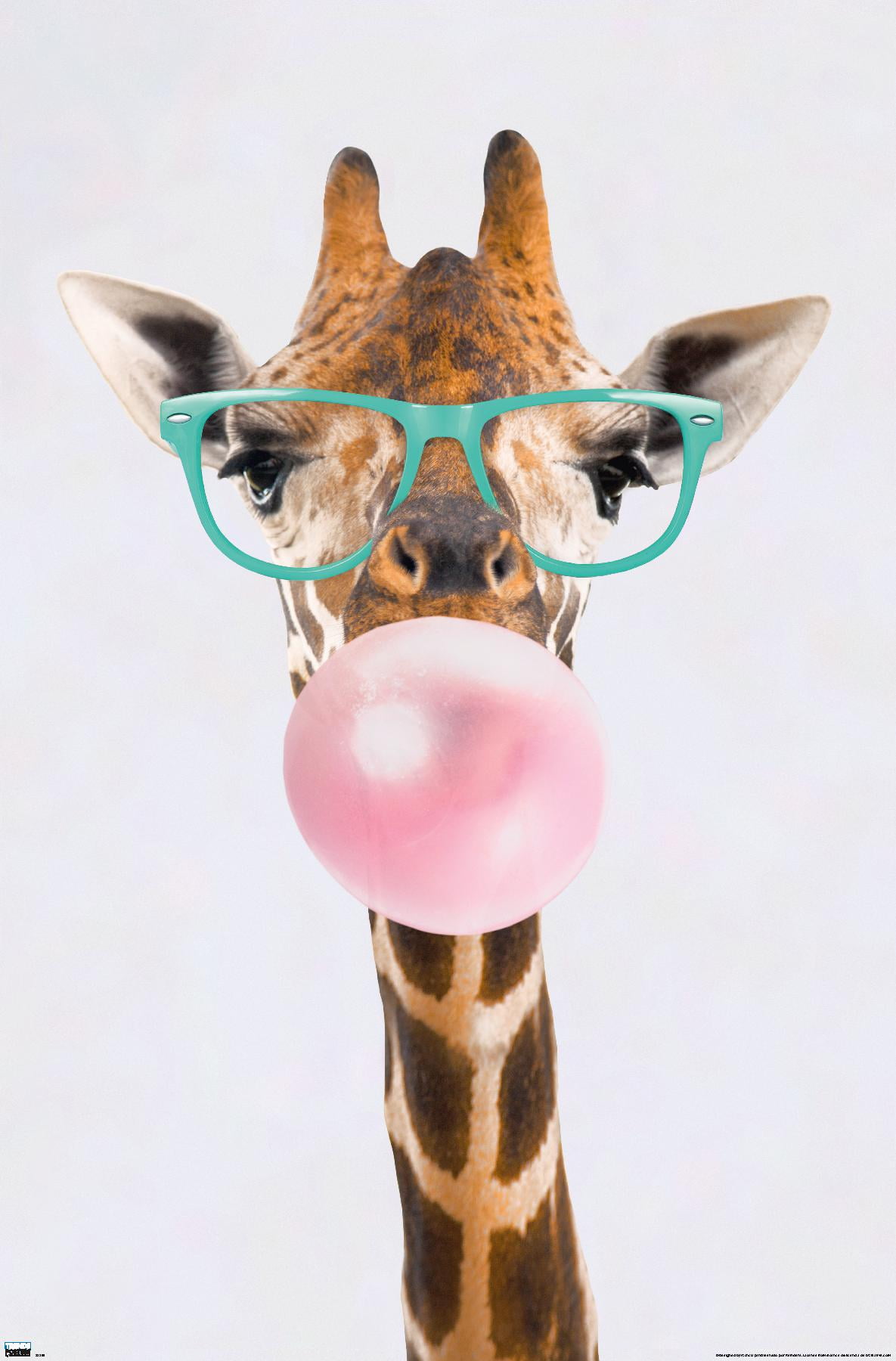 Reinders - Funky Giraffe Wall Poster, 22.375" x 34" - Walmart.com