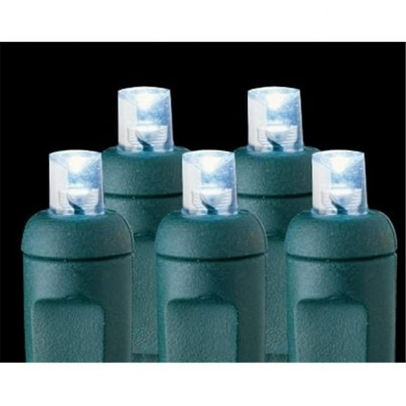 Reinders Christmas Lights