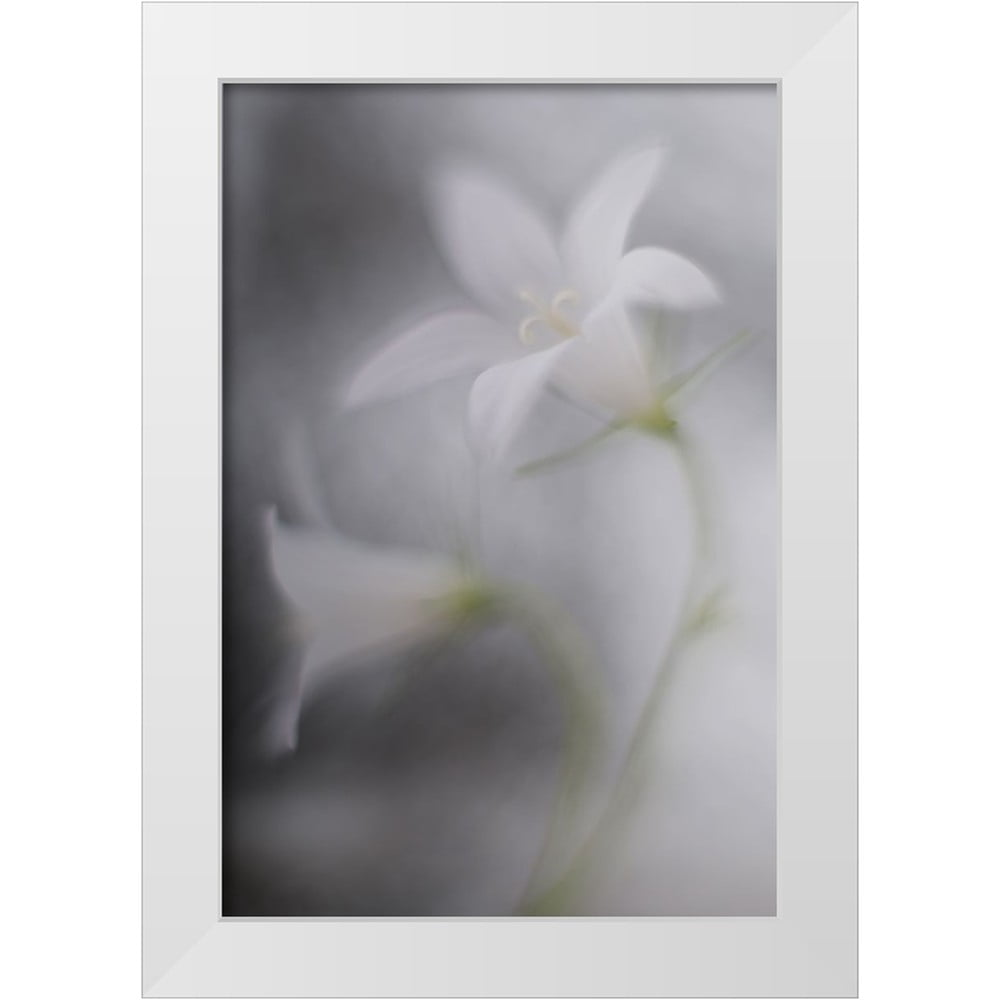 Reindl, Doris 11x14 White Modern Wood Framed Museum Art Print Titled ...