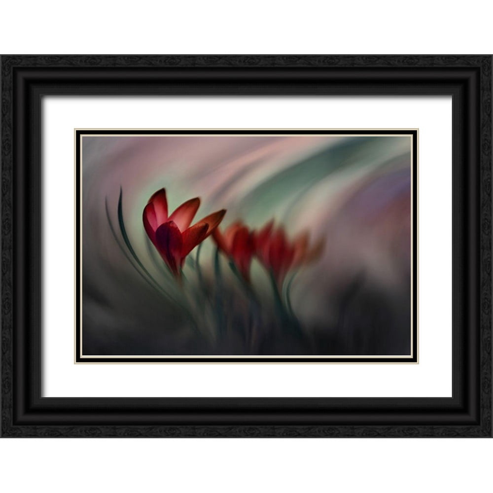 Reindl, Doris 14x11 Black Ornate Wood Framed with Double Matting Museum ...