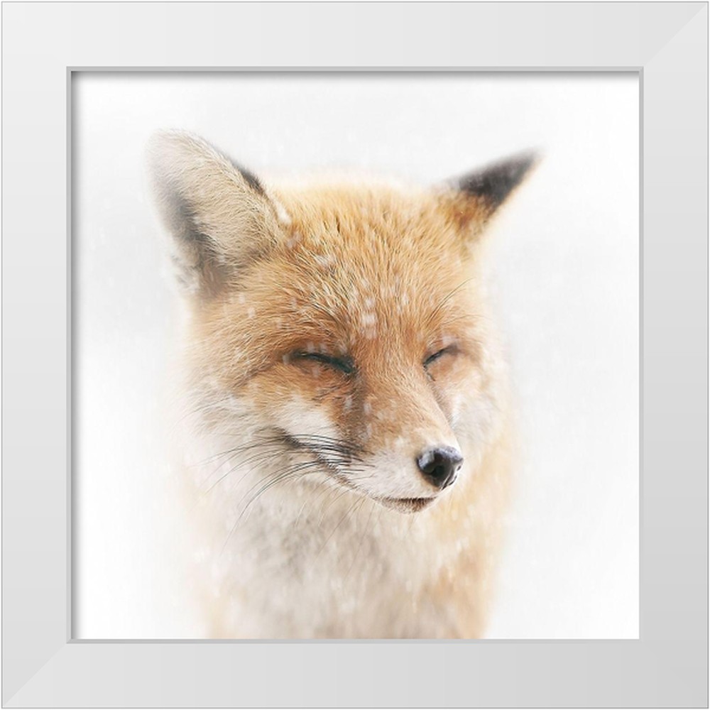 Reindl, Doris 15x15 White Modern Wood Framed Museum Art Print Titled ...