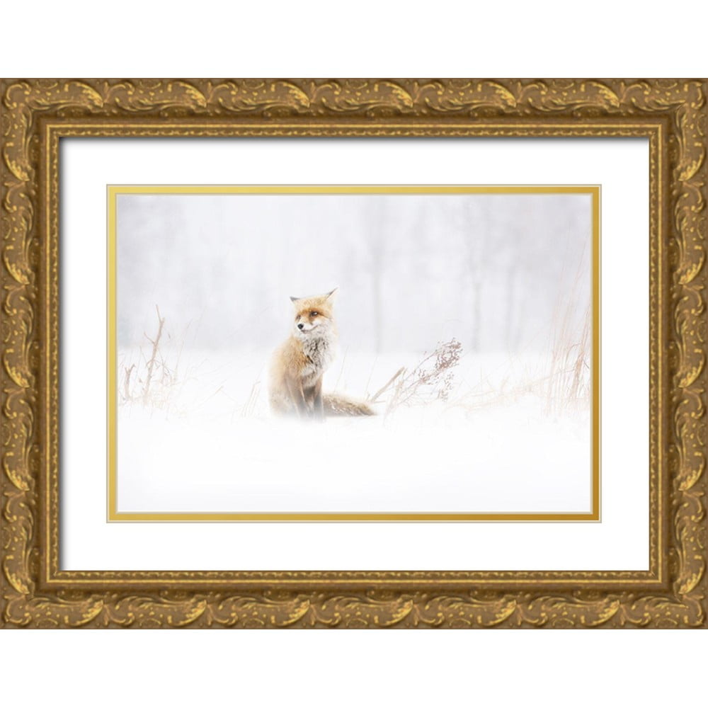 Reindl, Doris 24x17 Gold Ornate Wood Framed with Double Matting Museum ...