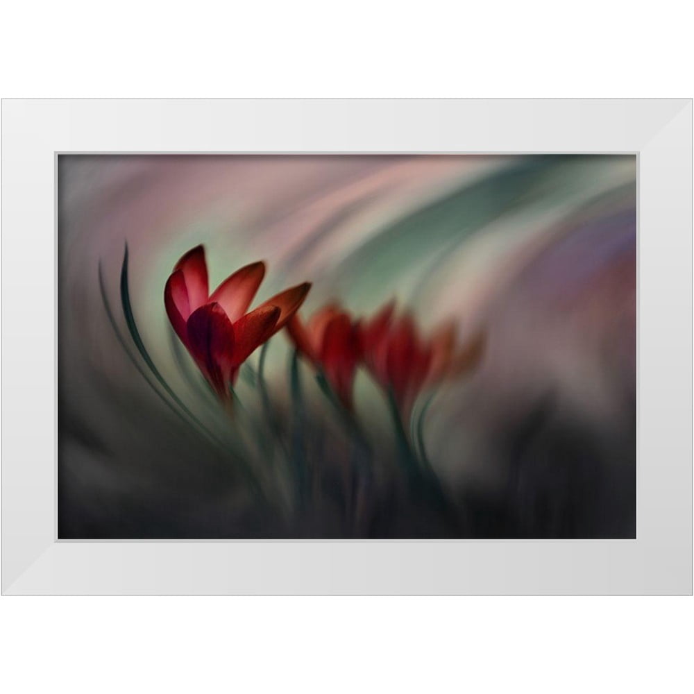 Reindl, Doris 24x17 White Modern Wood Framed Museum Art Print Titled ...