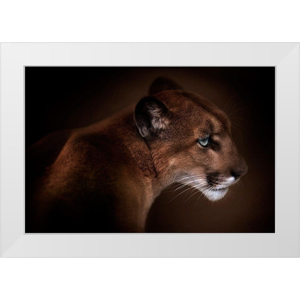 Reindl, Doris 24x17 White Modern Wood Framed Museum Art Print Titled ...