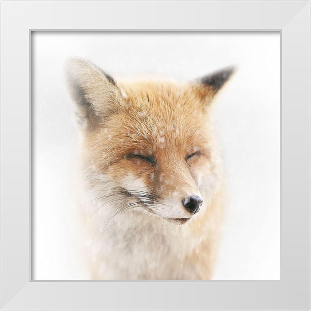 Reindl, Doris 26x26 White Modern Wood Framed Museum Art Print Titled ...