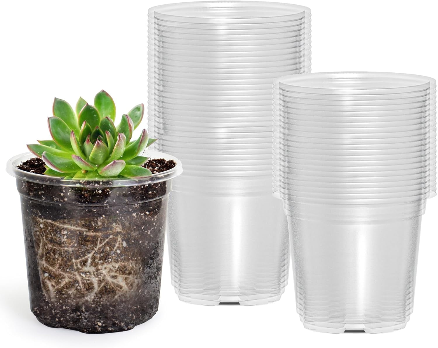 Reinforced Clear Nursery Pots with Drainage Hole, Transparent Variety ...
