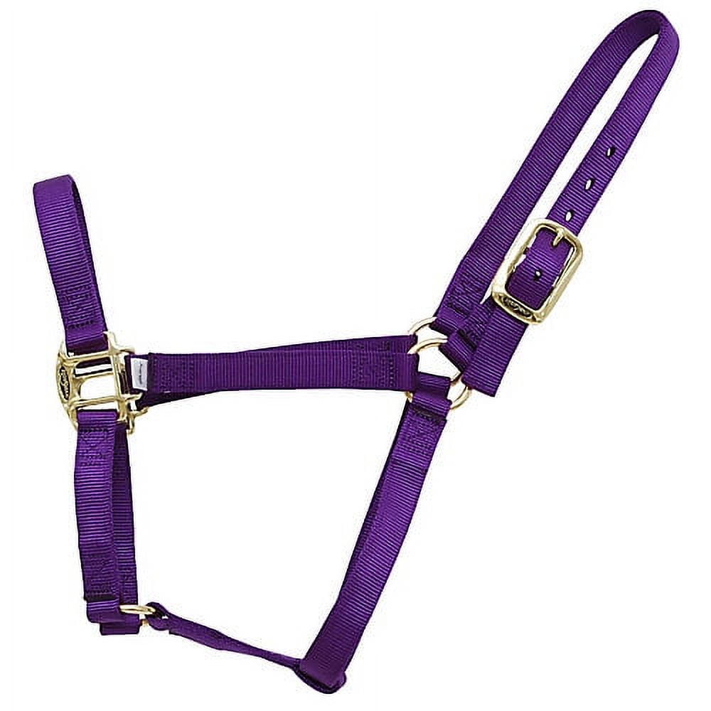 Reinsman Classic Nylon Halter Cob Purple - Walmart.com
