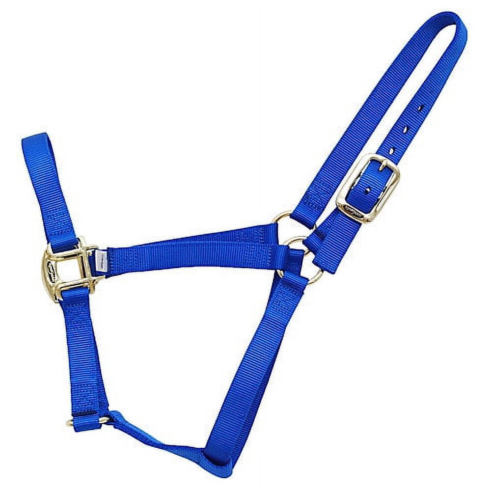 Reinsman Classic Nylon Halter Cob Royal Blue - Walmart.com