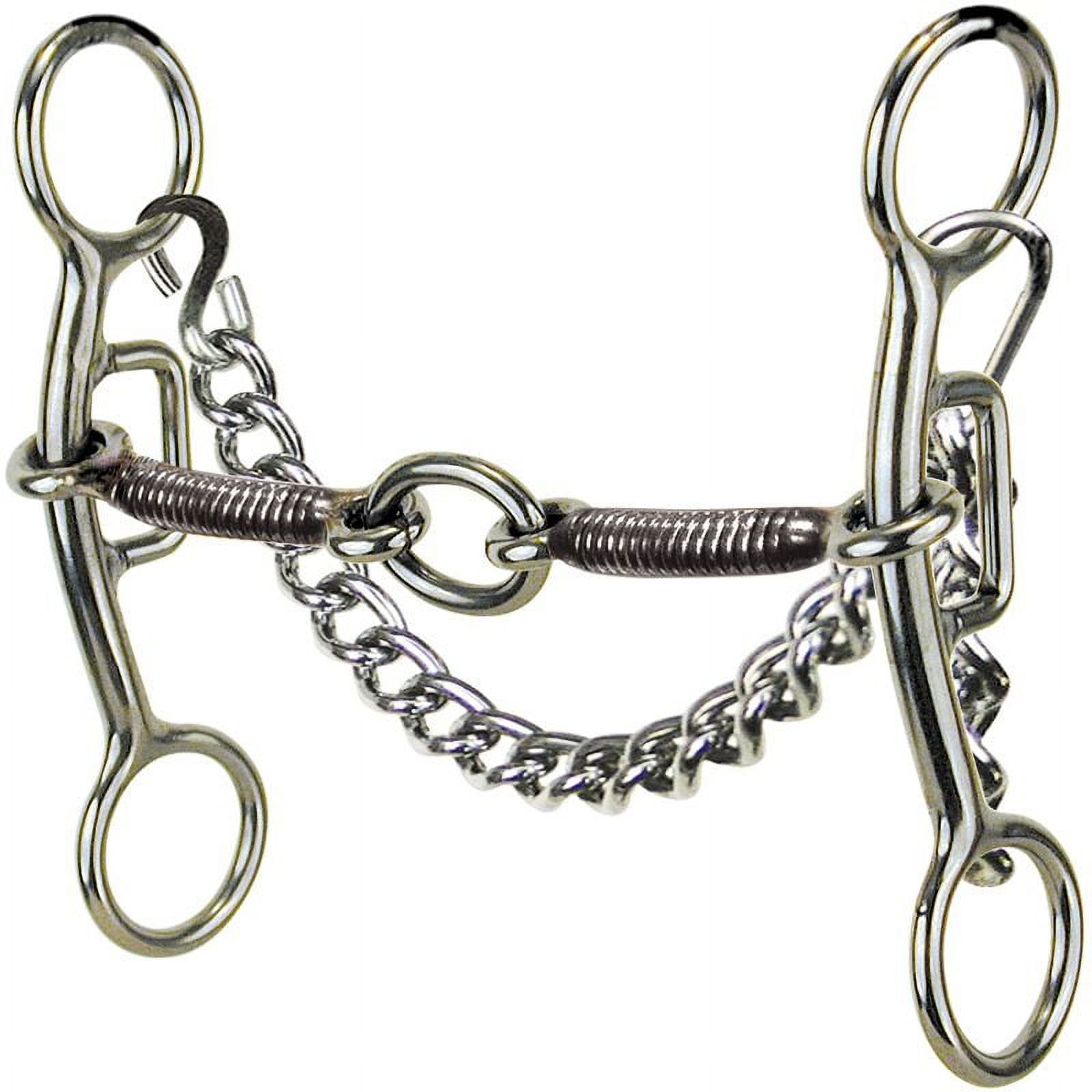 Reinsman Tender Touch Bit from Sharon Camarillo Collection - Walmart.com