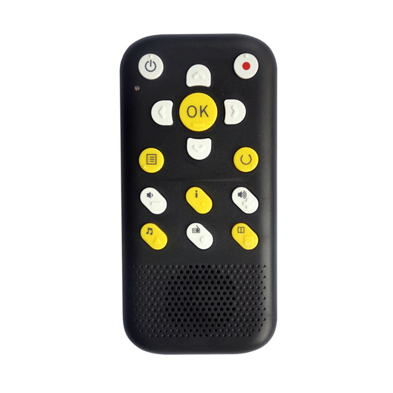 Reizen Portable Daisy Digital Recorder and Player with Voice, Music ...