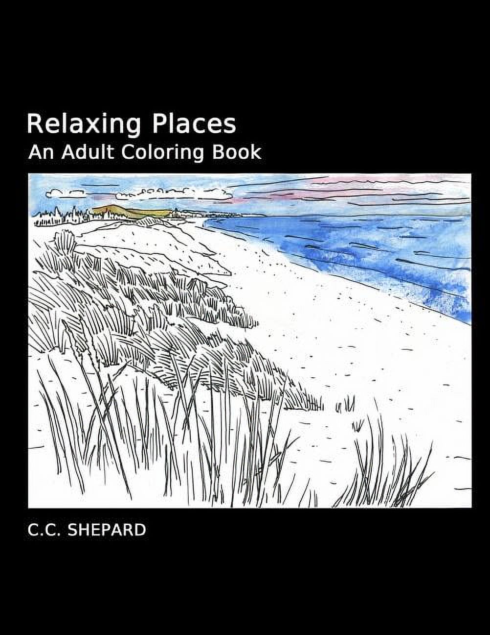 Relaxing Places : An Adult Coloring Book - Walmart.com