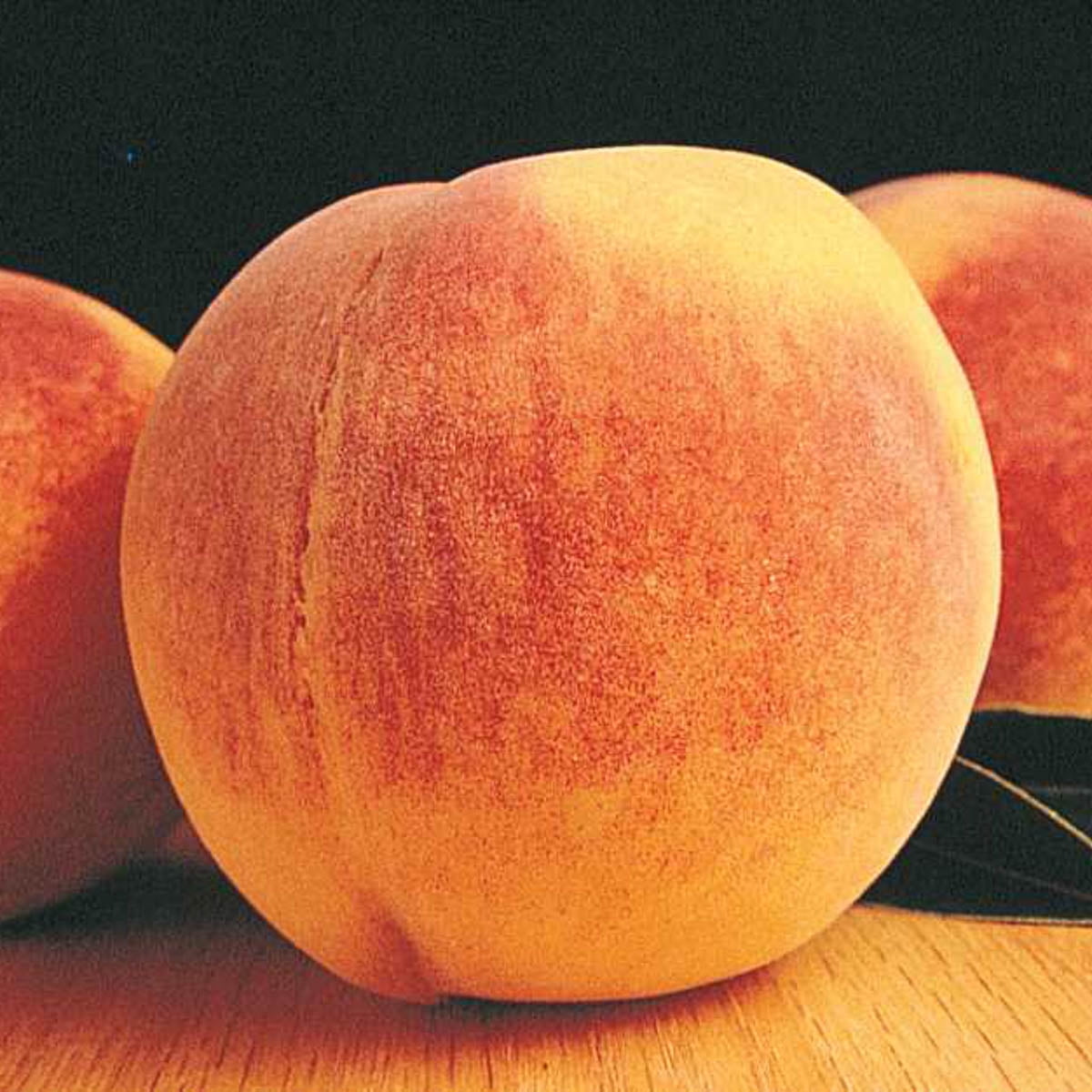 Reliance Peach Dormant Bare Root Starter Fruit Tree (1-Pack) - Walmart.com