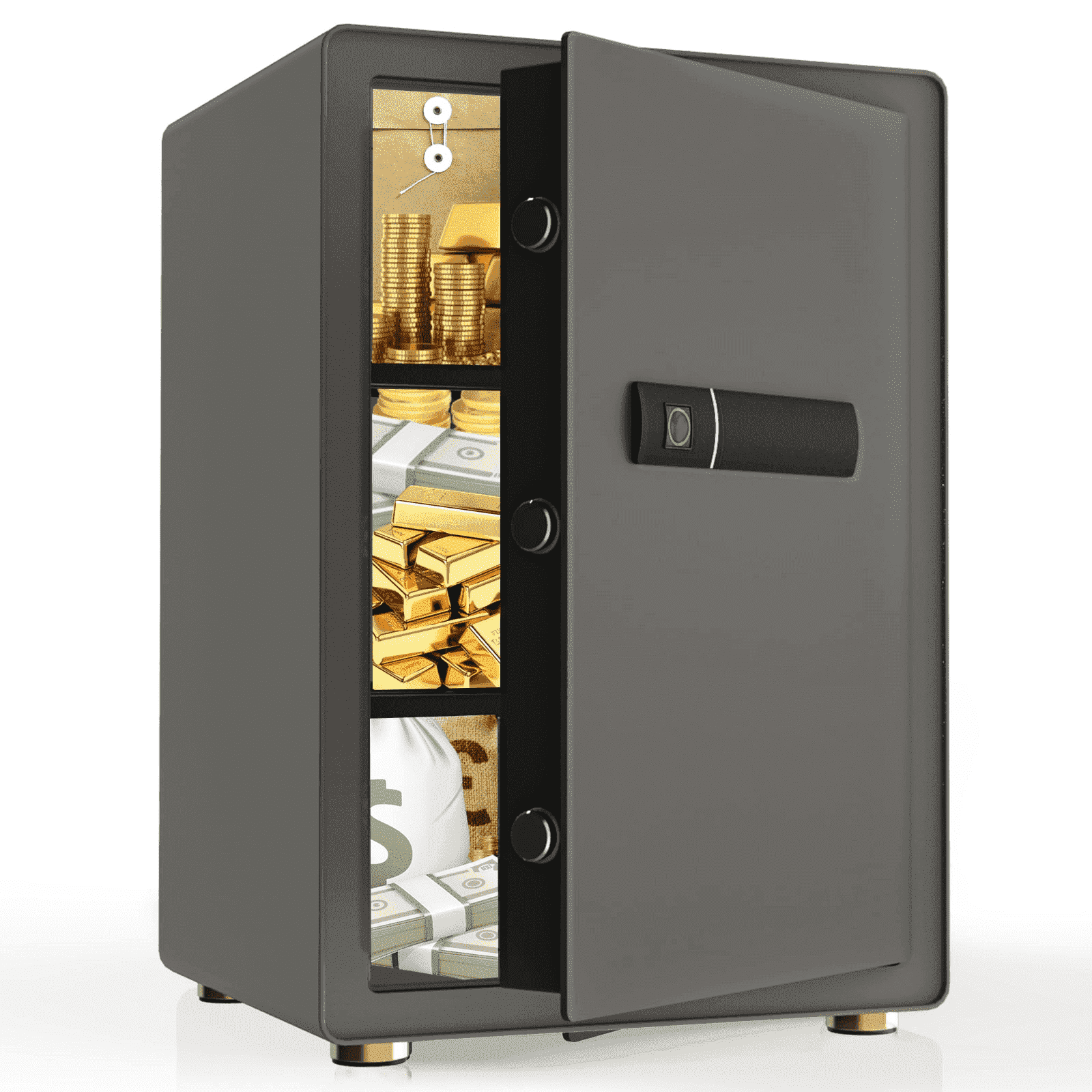 Reliancer 3.4 Cu.ft Biometric Fingerprint Safe Box with Sensor Light ...