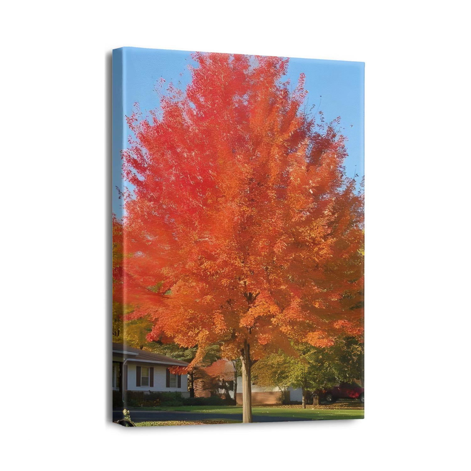 Relish the Nature with 12x16 Unframed Landscape Forest, Tree & Plant ...