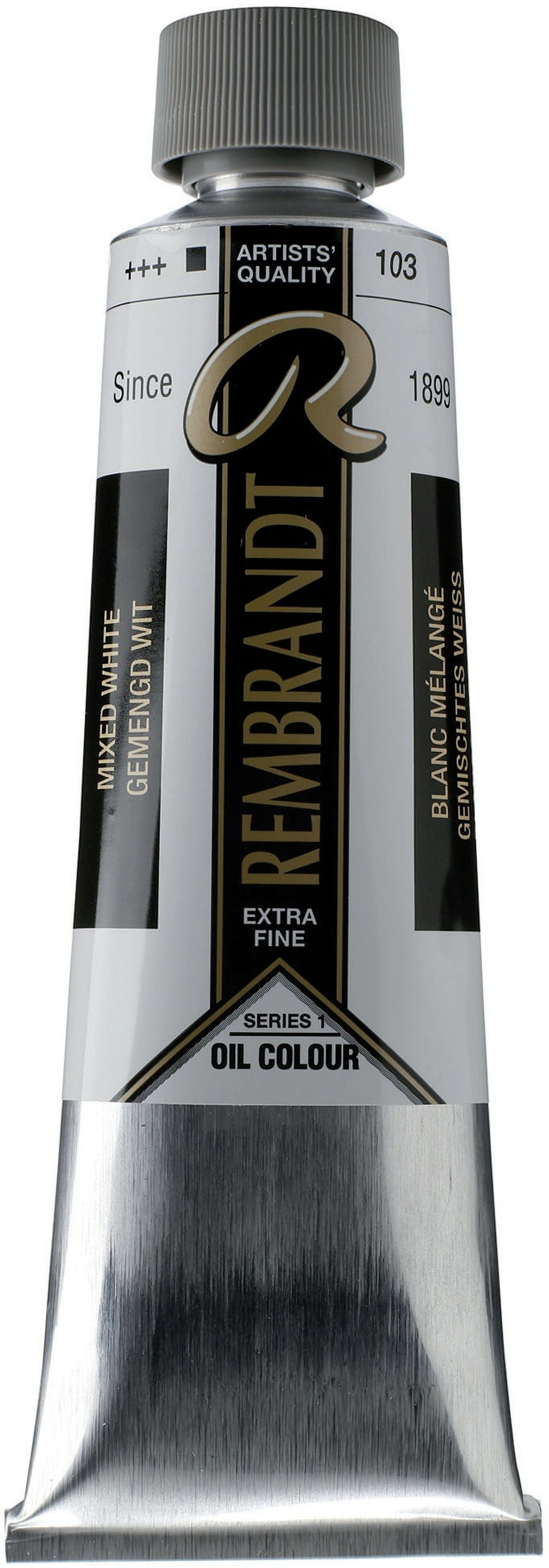 Rembrandt Artists' Oil Color, 150ml, Mixed White - Walmart.com