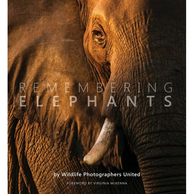 Remembering Elephants: Stunning Hardcover Photographic Book for ...