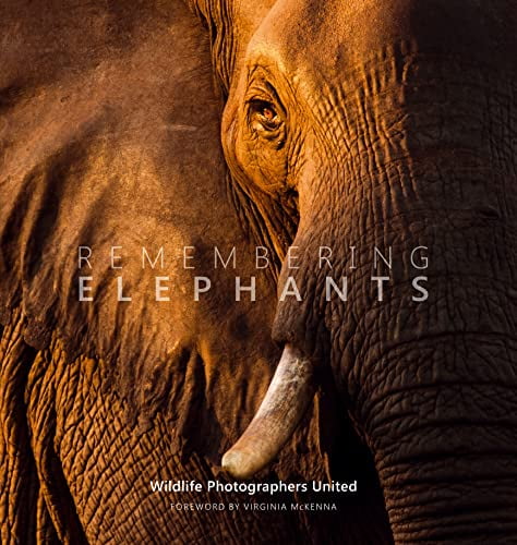Pre-Owned Remembering Elephants (Hardcover) - Walmart.com