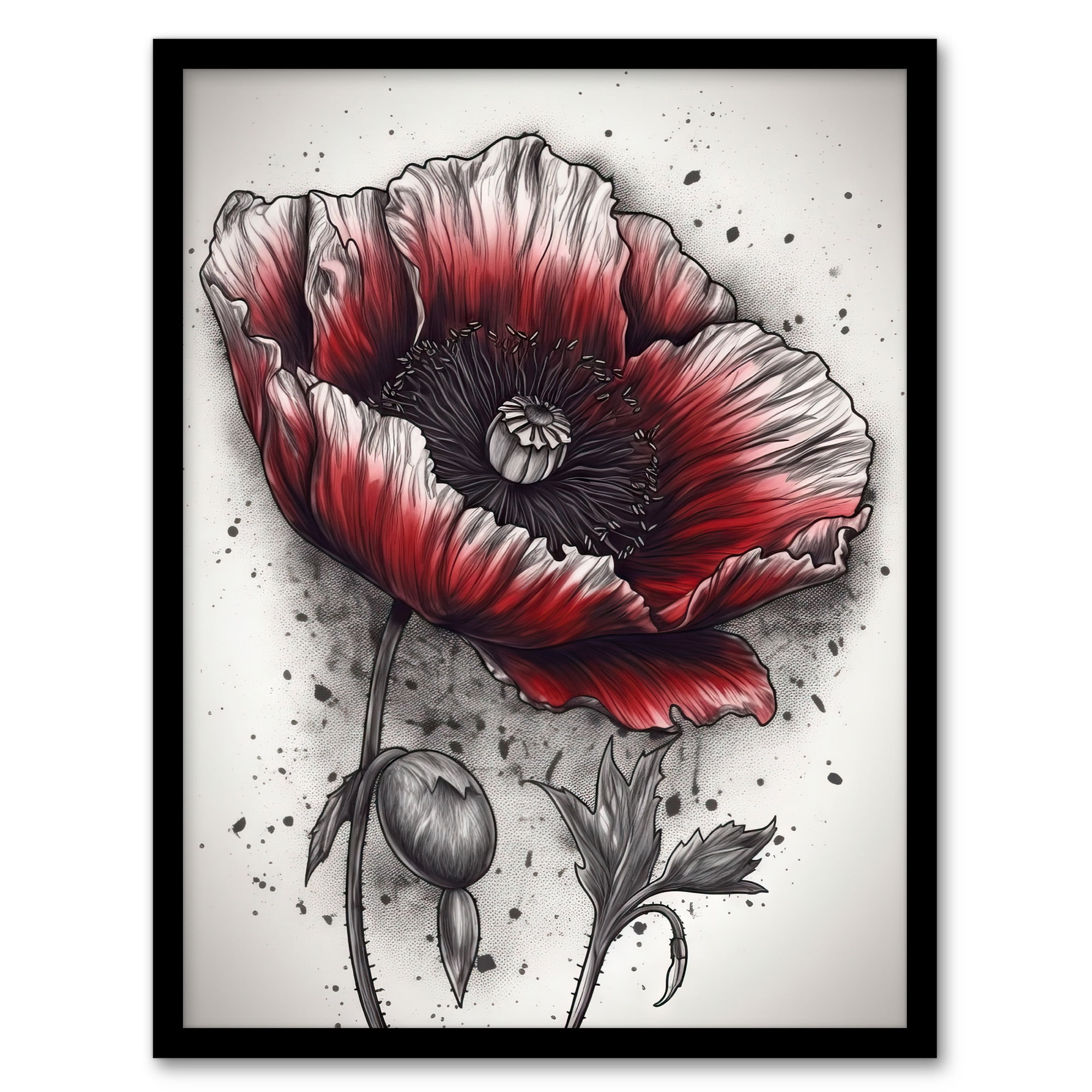 Remembrance Day Poppy Flower Detailed Coloured Pencil Drawing Red Grey ...