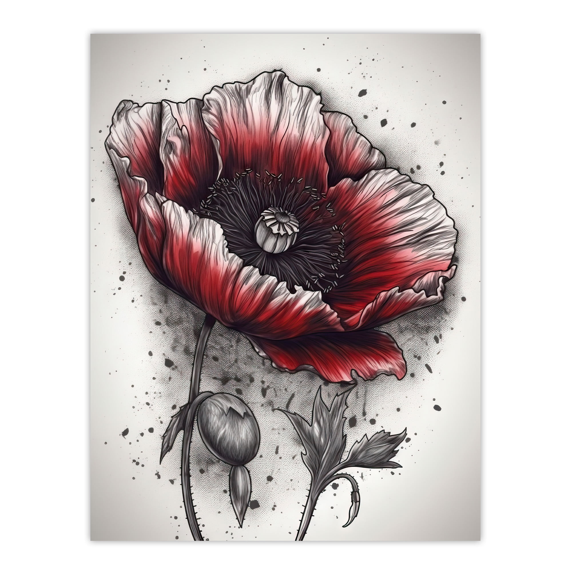 Remembrance Day Poppy Flower Detailed Coloured Pencil Drawing Red Grey ...